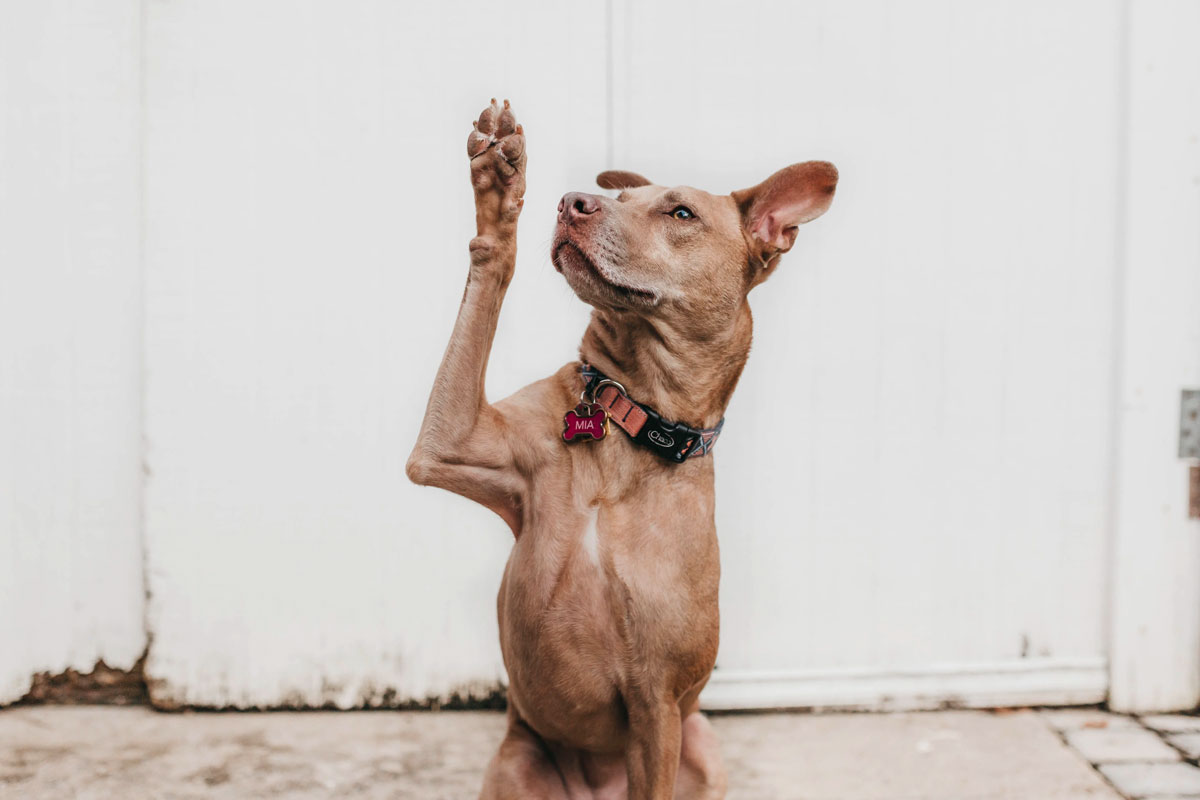 10 Tips For Asking Dumb Questions Without Sounding Dumb About B2b Tech